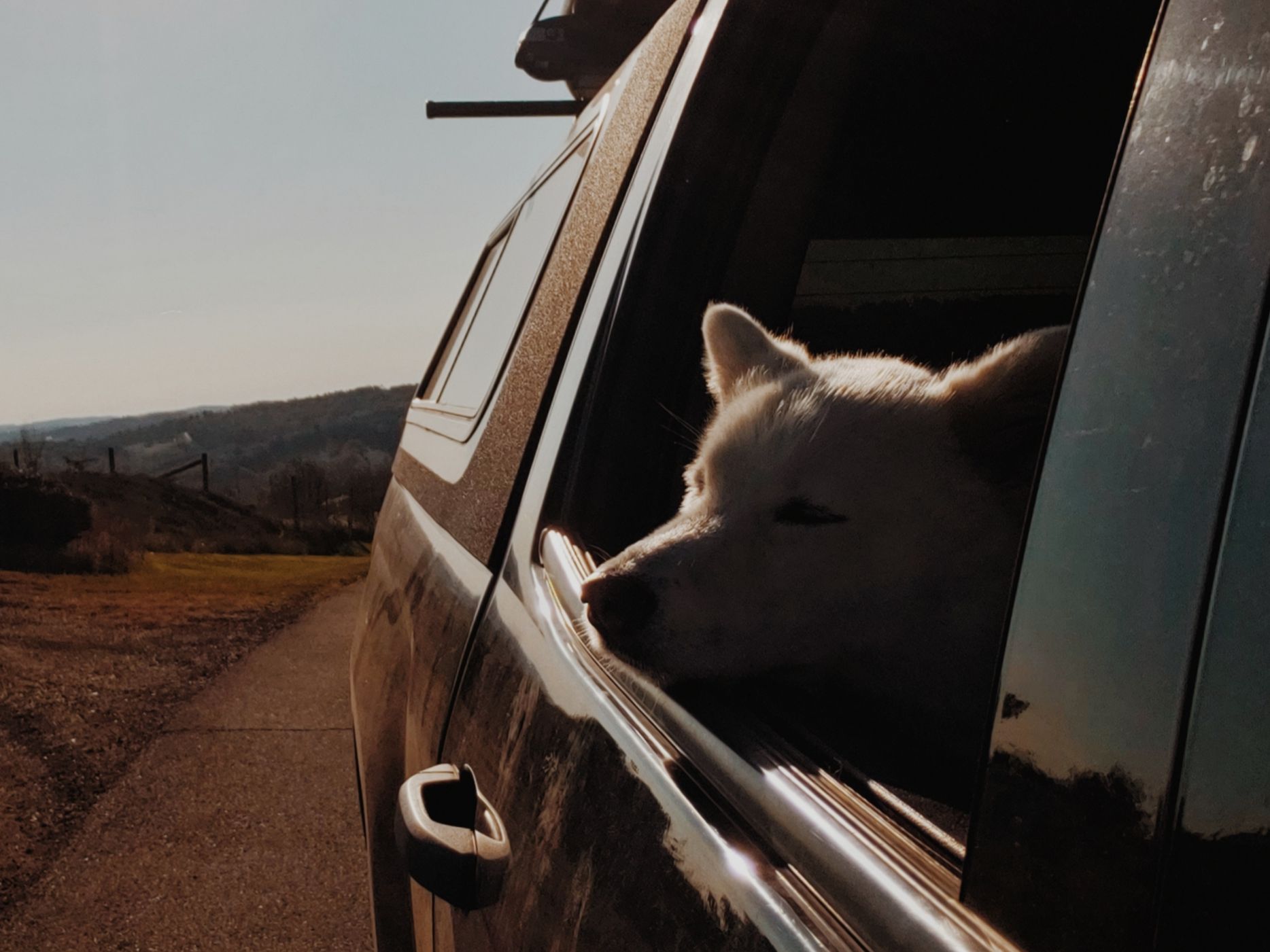 Strand Farm | Mindset | The Periphery