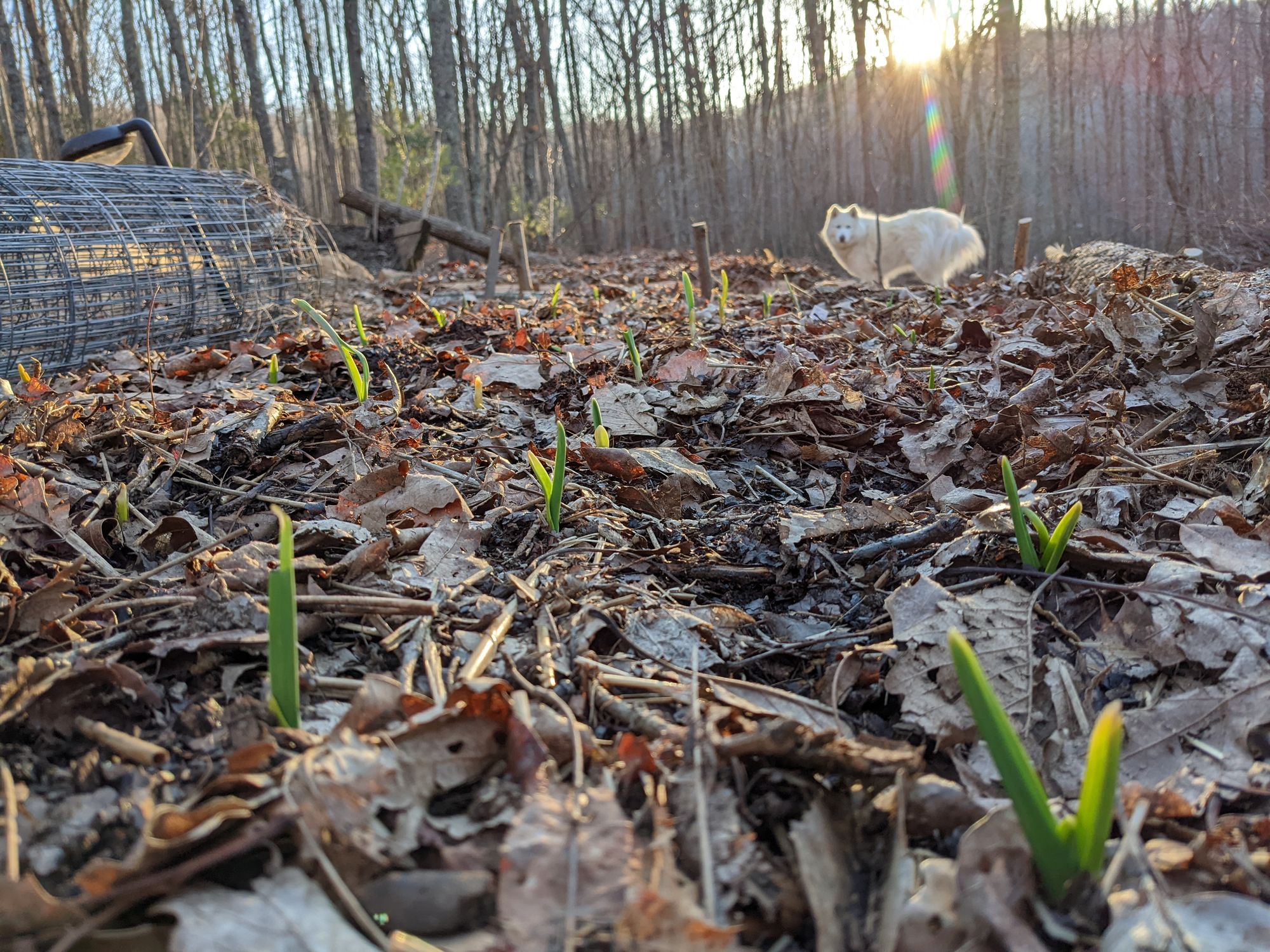 Strand Farm | Mindset | Growth Through Death