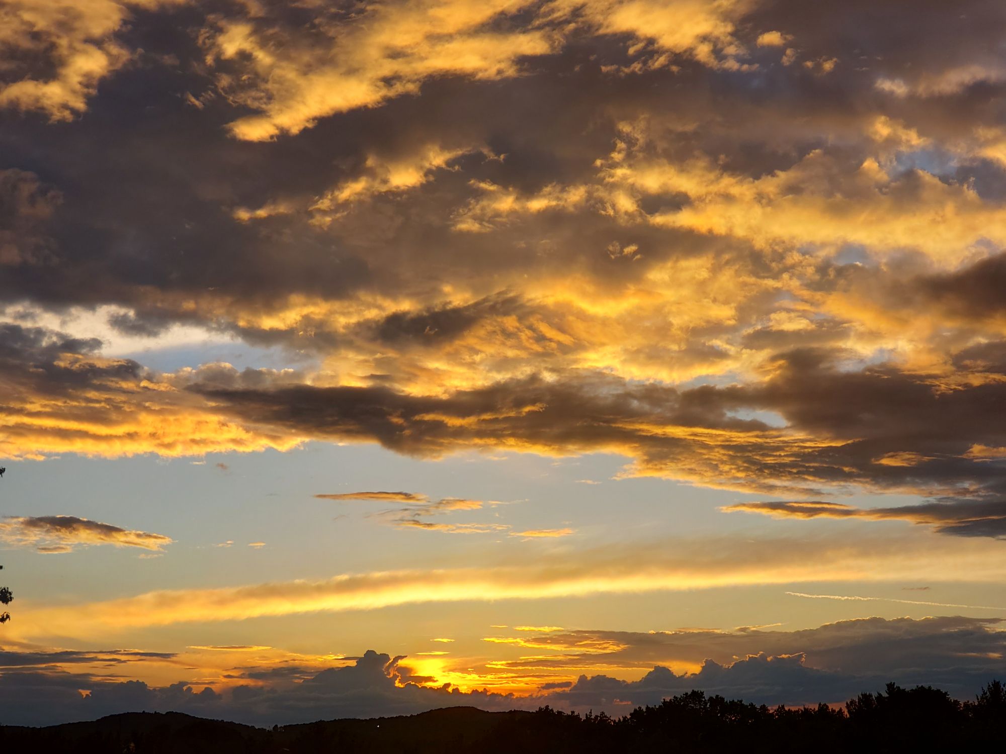 Strand Farm | Grow Independent Together