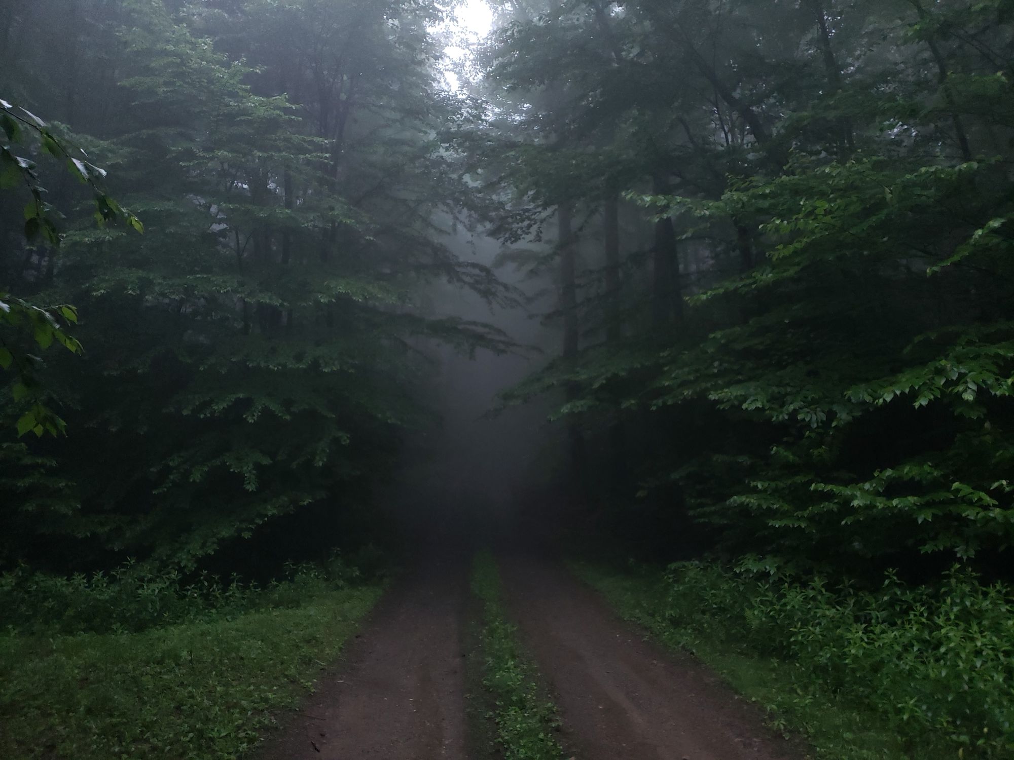 Strand Farm | Grow Independent Together