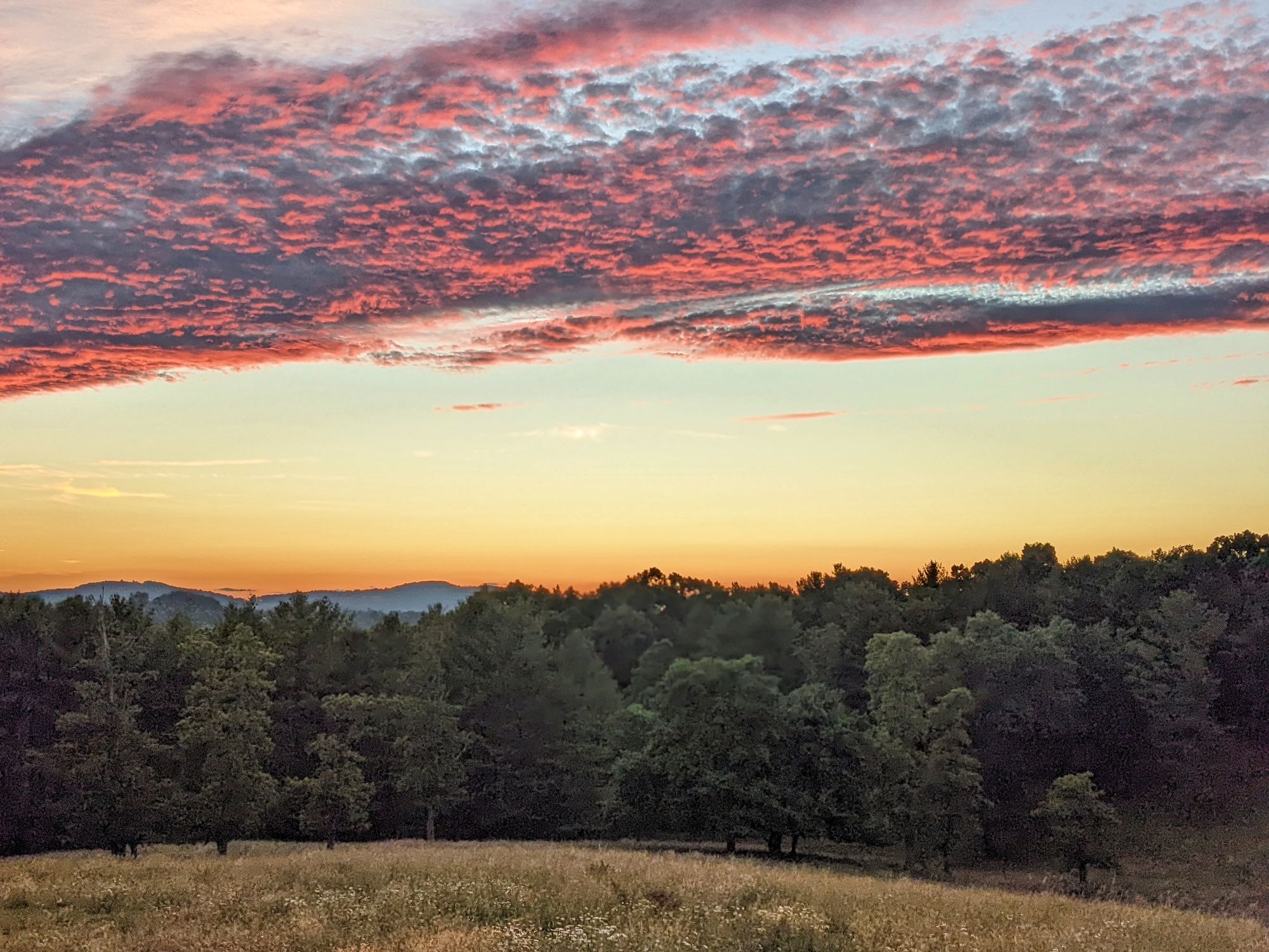 Strand Farm | Grow Independent Together