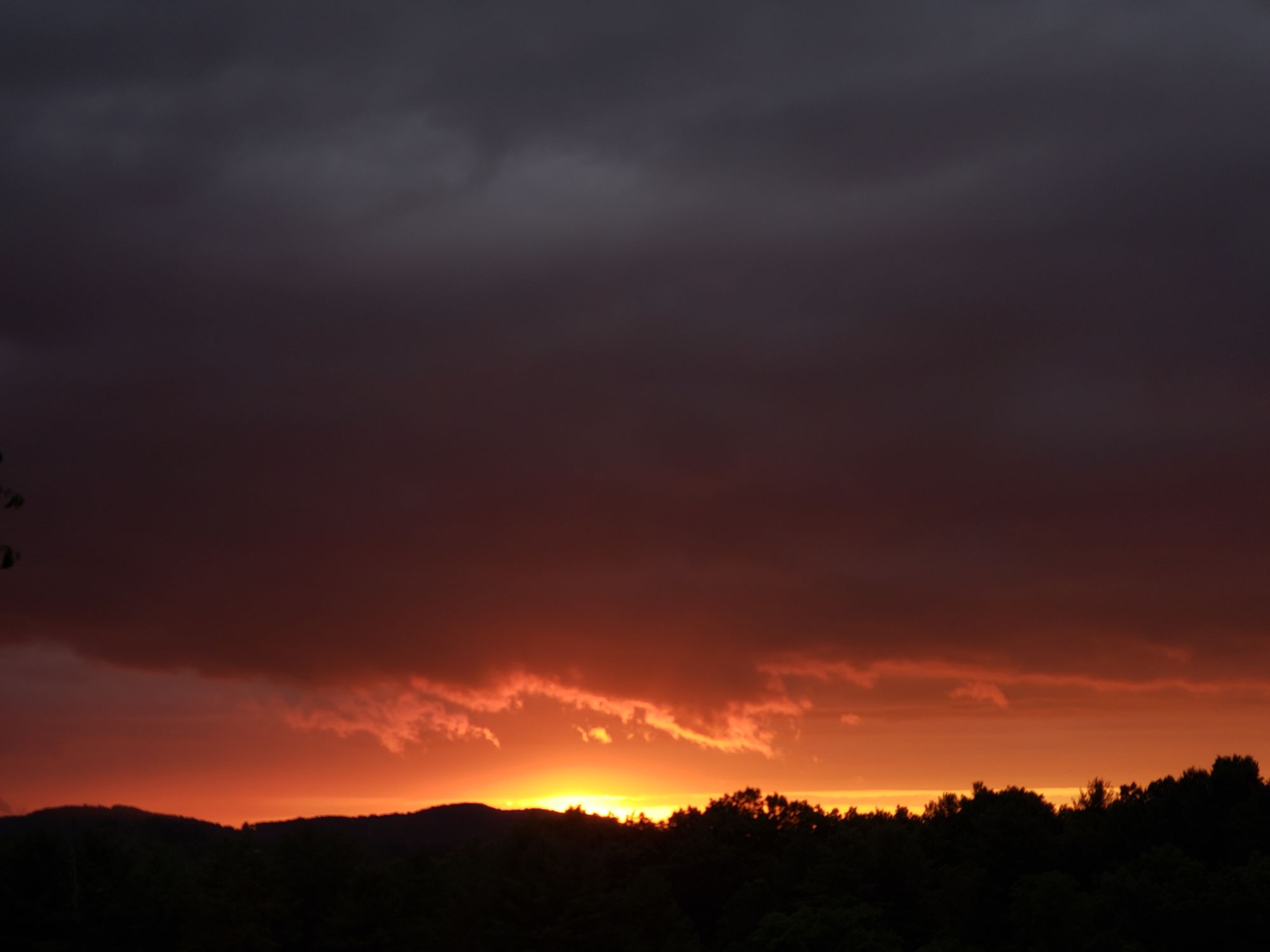 Strand Farm | Grow Independent Together