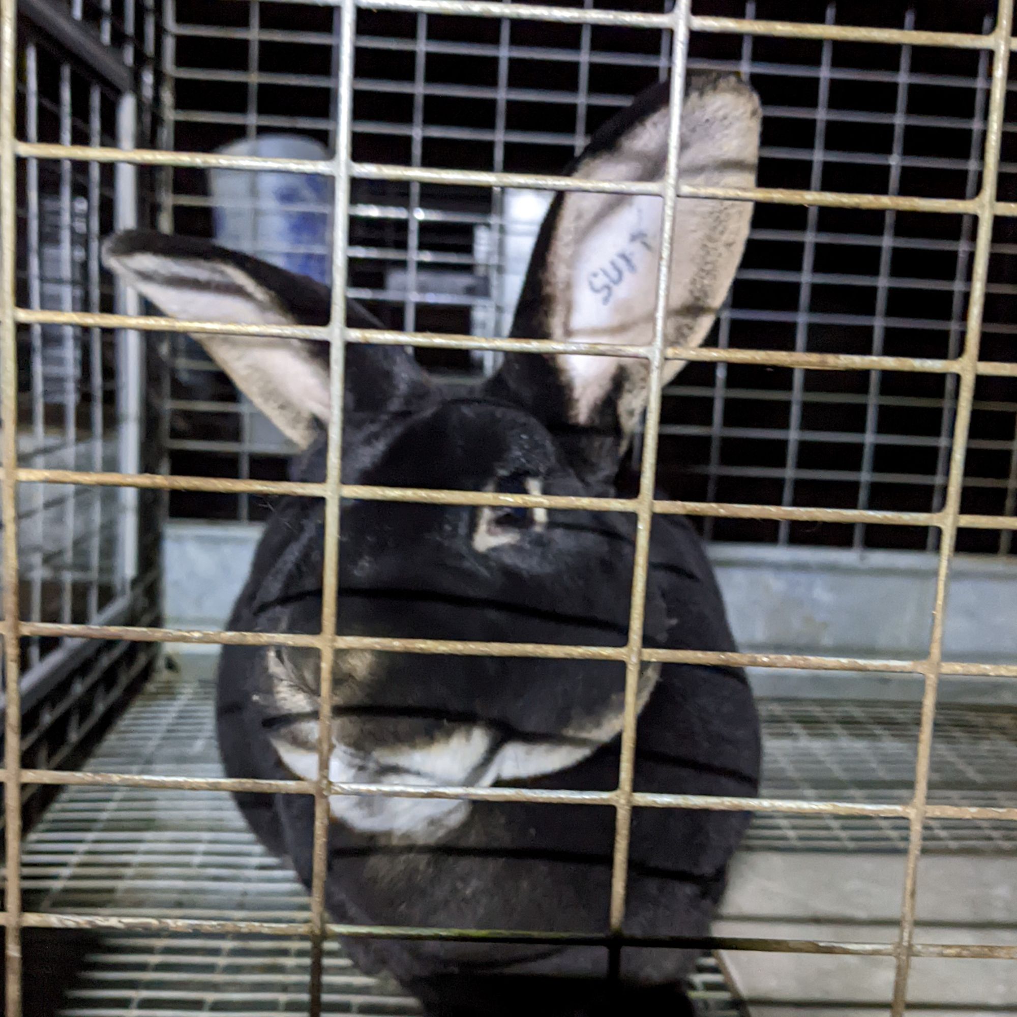 Strand Farm | Grow Independent Together