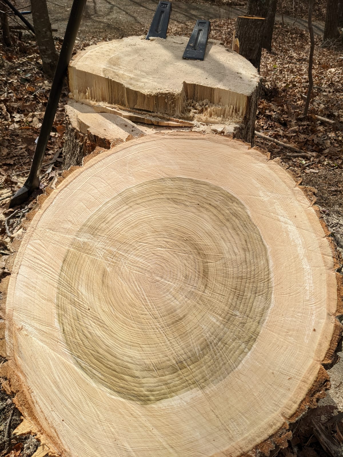 Strand Farm | Start Small, Grow From There